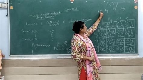 Class 12 Genetics Youtube