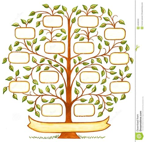 Muitas Vezes Desenho Arvore Genealogica Para Preencher TR12 Ivango