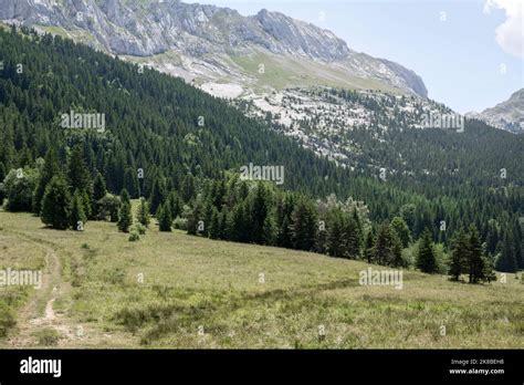 Landscape Of Massif Du Vercors In France During The Summer Season Stock