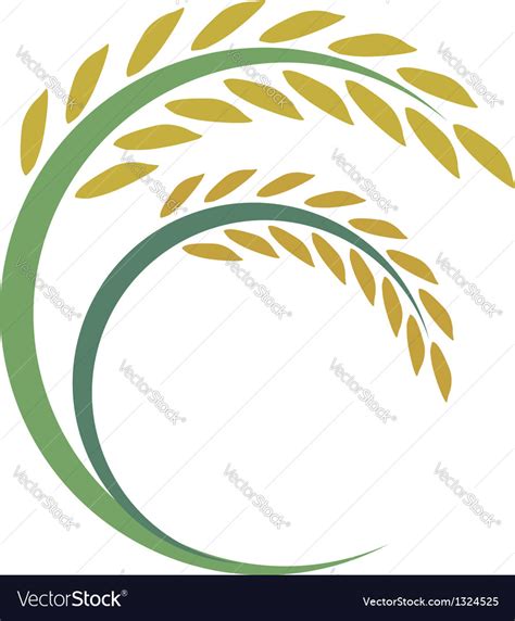 Rice Royalty Free Vector Image Vectorstock