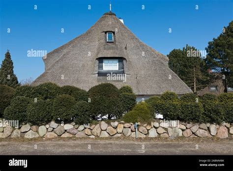 Wohnhaus Mit Reetdach Hinter Einem Natursteinwall In Keitum Auf Sylt Stock Photo Alamy