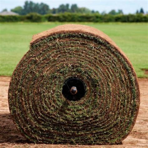 Turfmaster® Big Roller For Laying Turf Fits 13m² Rolls Rolawn