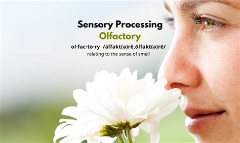 Rescheduled Online Open Workshop Sensory Processing Olfactory Smell 102924 900 Am