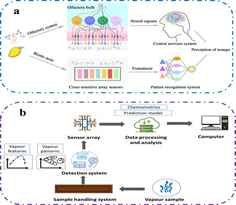 Schematic Diagram Of Electronic Nose Device A A Comparison Between Download Scientific
