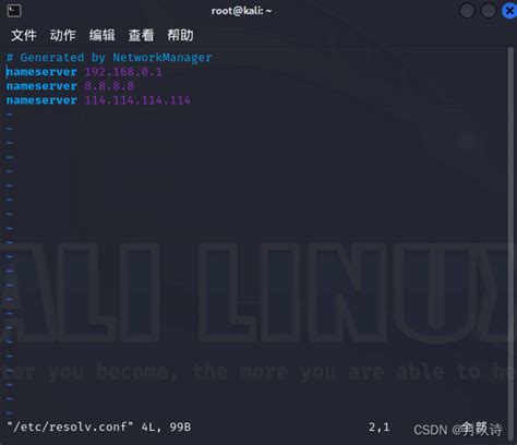 kali linux域名解析失败解决方法 kaliping百度域名解析失败 csdn博客