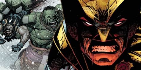 Cómic De Hulk Contra Wolverine Hulk Vs Wolverine Through The