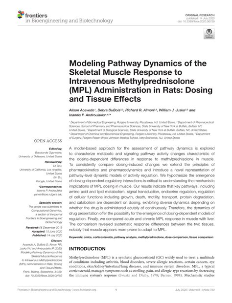 Pdf Modeling Pathway Dynamics Of The Skeletal Muscle Response To Intravenous