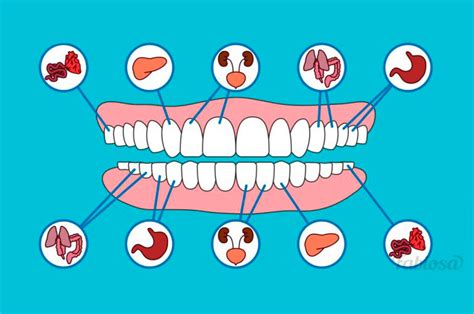 Acupuncture Teeth Acupuncture Melbourne Holistic Health And Beauty