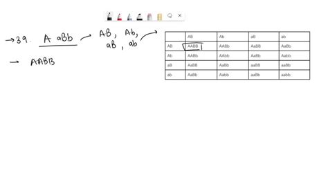 Solved 2 Two Linked Genes A And B Are Separated By 18 Cma Man