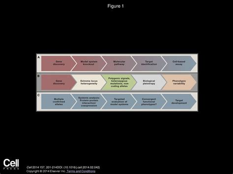 Psychiatric Disorders Diagnosis To Therapy Ppt Download