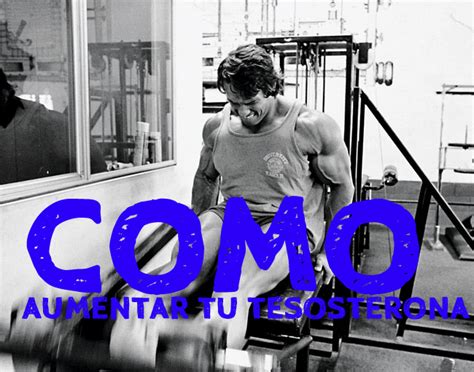 15 Estrategias Para Aumentar Tus Niveles De Testosterona Naturalmente