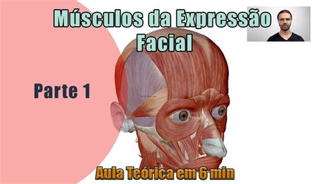 Músculos Da Expressão Facial Parte 1 Teórica Anatomia Humana