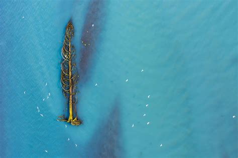 National Geographic Premió Las Mejores Fotos De La Naturaleza De 2017 Infobae