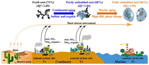 Acp Tracing The Evolution Of Morphology And Mixing State Of Soot Particles Along With The