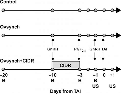 Treatment Protocols Applied To Lactating Dairy Cows Before First Download Scientific Diagram