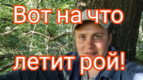 ЭТО СРЕДСТВО ПАРУ СОВЕТОВ ПРИВЛЕЧЕТ РОЙ В ВАШУ ЛОВУШКУ БЕРИТЕ НА ВООРУЖЕНИЕ пчеловодство