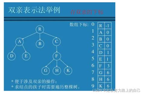 二叉树详解深度优先遍历、前序，中序，后序、广度优先遍历、二叉树所有节点的个数、叶节点的个数 阿里云开发者社区
