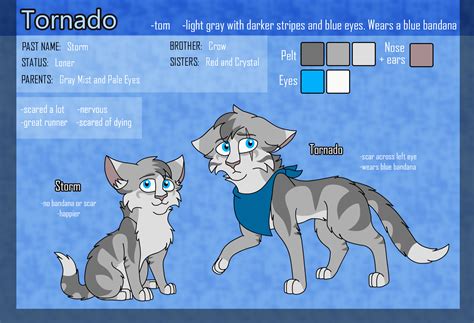 Tornado Reference Sheet Commission By Thedawnmist On Deviantart