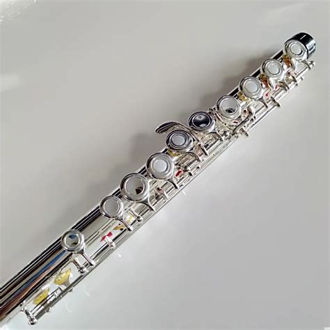 Japanese Flute C Key Hole With Case And Accessories