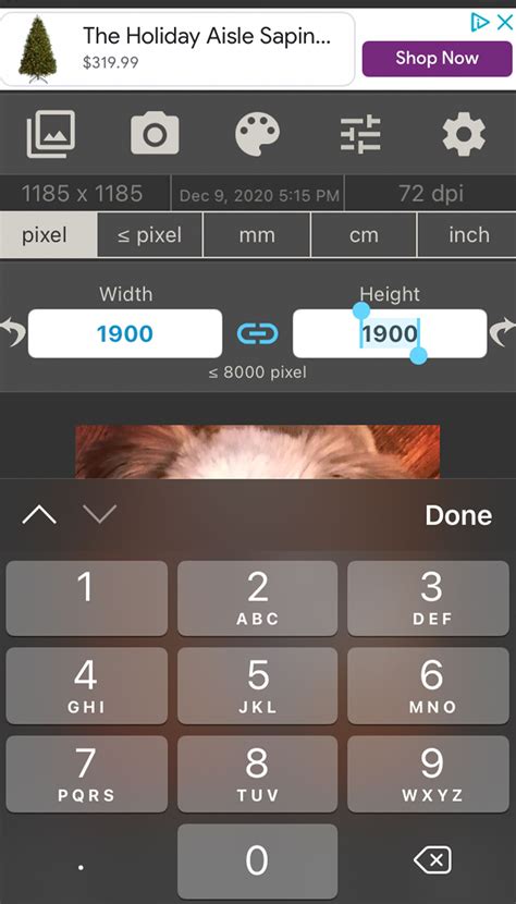 How To Reduce The Size Of A JPEG Different Ways