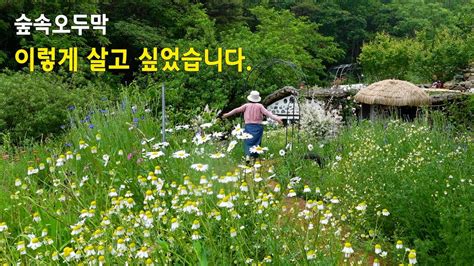 이렇게 살고 싶었습니다 오두막에서 보내는 휴식같은 하루 Youtube