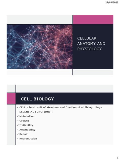 Radiobiology Cellular Anatomy And Physiology Pdf Mitosis Rna