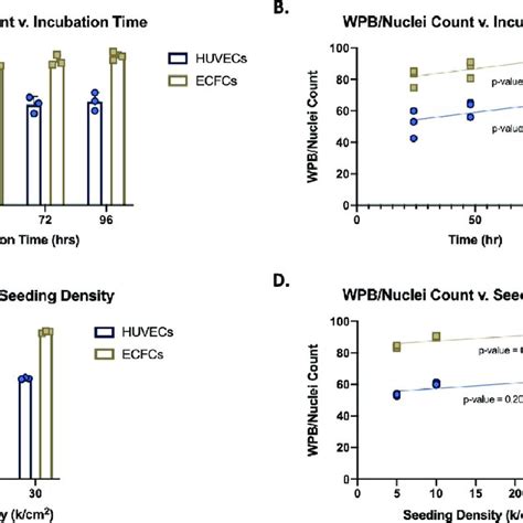 assessment of wpb nuclei count in sub confluent versus confluent