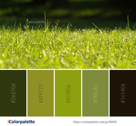 Color Palette Ideas From Grass Green Water Image Icolorpalette