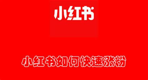 小红书如何快速涨粉 小红书快速涨粉的方法 完美教程资讯 完美教程资讯