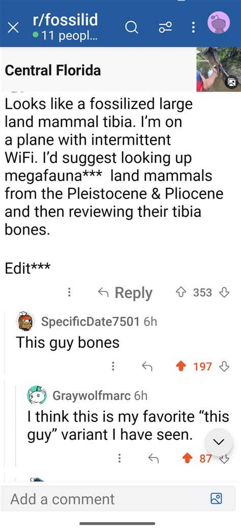 This Guy Bones R Thisguythisguys