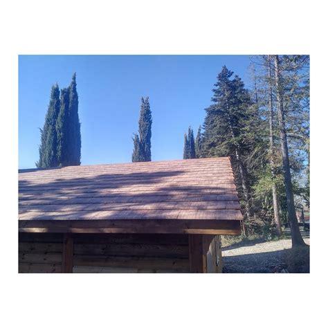 Tejas Borja Flat 10 Toronto Oak