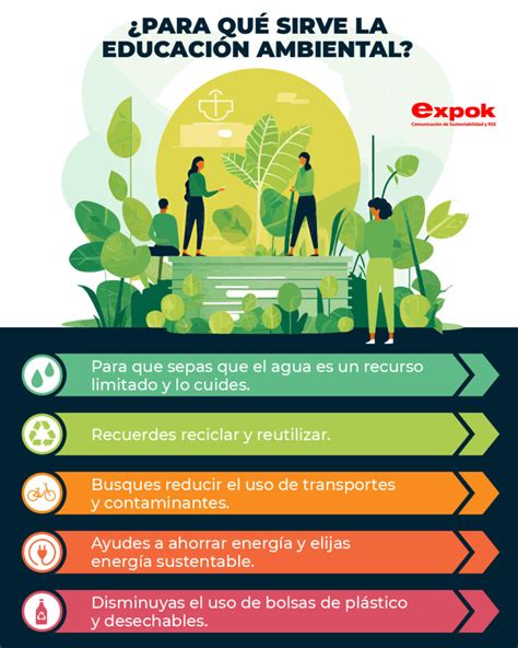 ¿para Qué Sirve La Educación Ambiental Expoknews