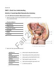 Unit Laboratory Exercise EDIT Real Pdf Exercise PART I Check Your Understanding