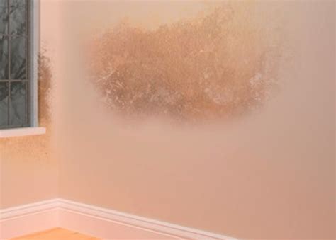 Building Defect Assessment Building Audit And Structural Inspection