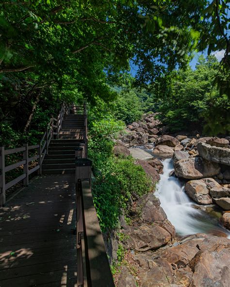 데일리 걷고 느끼고 마시고~ 🚶🌳 ☕ ️ 🌿 자연을 걷고 숲을 체험하고 커피로 마무리하는 하루 중산두류생태방방로는