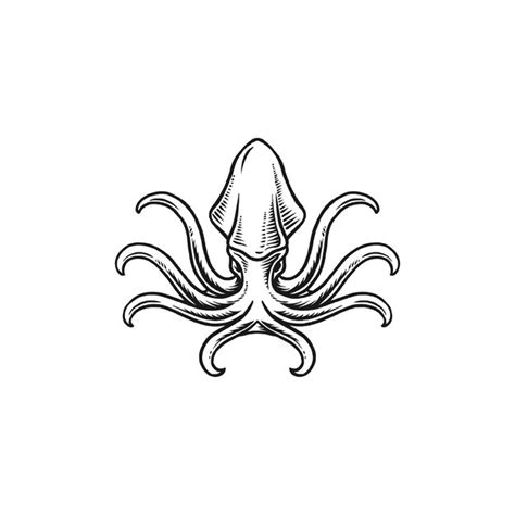 Logotipo de frutos do mar desenhado à mão gravura vetorial de lula