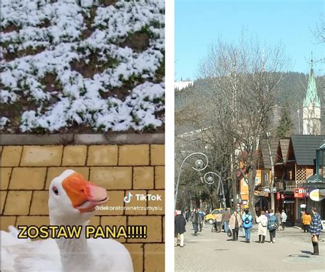 Każdy chce mieć Pipkę Nowy trend na Krupówkach