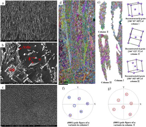 Microstructure Of The Ebm Built Tmc Sample A And B Longitudinal