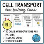 CER In Science 3 Steps To Master Scientific Writing Science Is Real Education