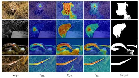 Entropy Free Full Text Magnet A Camouflaged Object Detection Network Simulating The