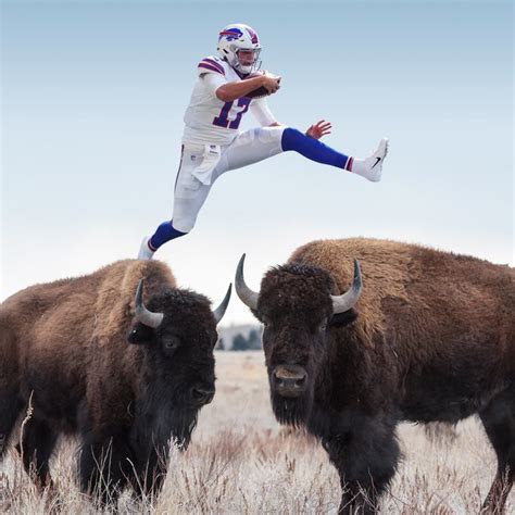 Posting A Picture Of Josh Allen Jumping Over Something Every Day Until
