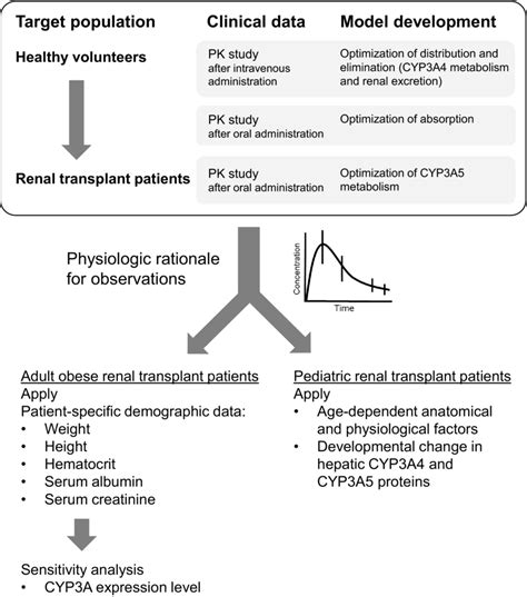 Schematic Representation Of The Workflow Describing Download Scientific Diagram
