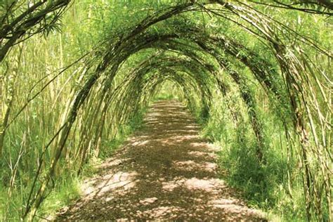 Living Willow Sculptures And Fences Mother Earth Gardener