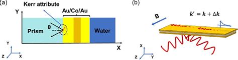 A The Simulated Mode Of The Mospr Sensor Using Fdtd B D Mode Of The