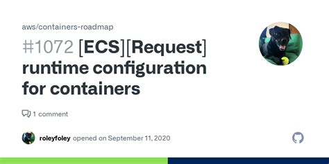 ECS Request Runtime Configuration For Containers Issue Aws Containers Roadmap GitHub