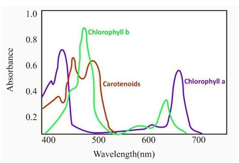 A Absorption Spectrum For Different Polarization Angles B And C