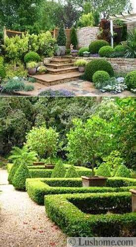 Topiary For Backyard Designs And Yard Landscaping