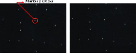 Two Sample Image Frames Download Scientific Diagram