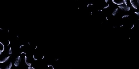 깃털 흰색 패턴 벽지에 대한 검은 배경에 떨어지는 추상 적 새 깃털 텍스처 클로즈업 자연에 대한 감도 응답성의 개념 가을에 대한 스톡 사진 및 기타 이미지 Istock