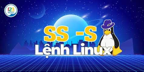 Lệnh Kiểm Tra Nhanh Trạng Thái Kết Nối Mạng Trên Linux Lệnh Linux
